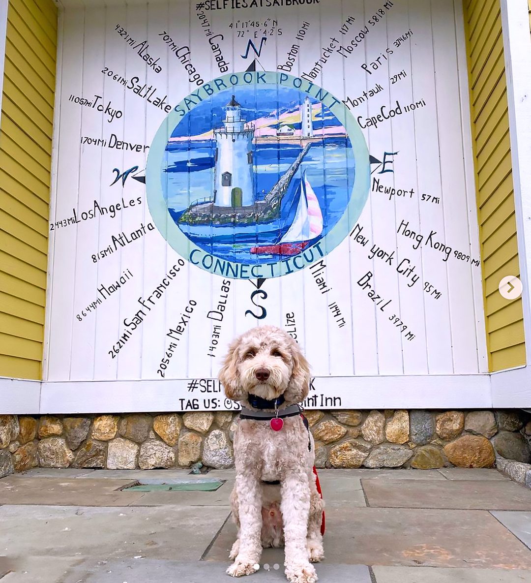 Saybrook Point Resort & Marina - Welcome